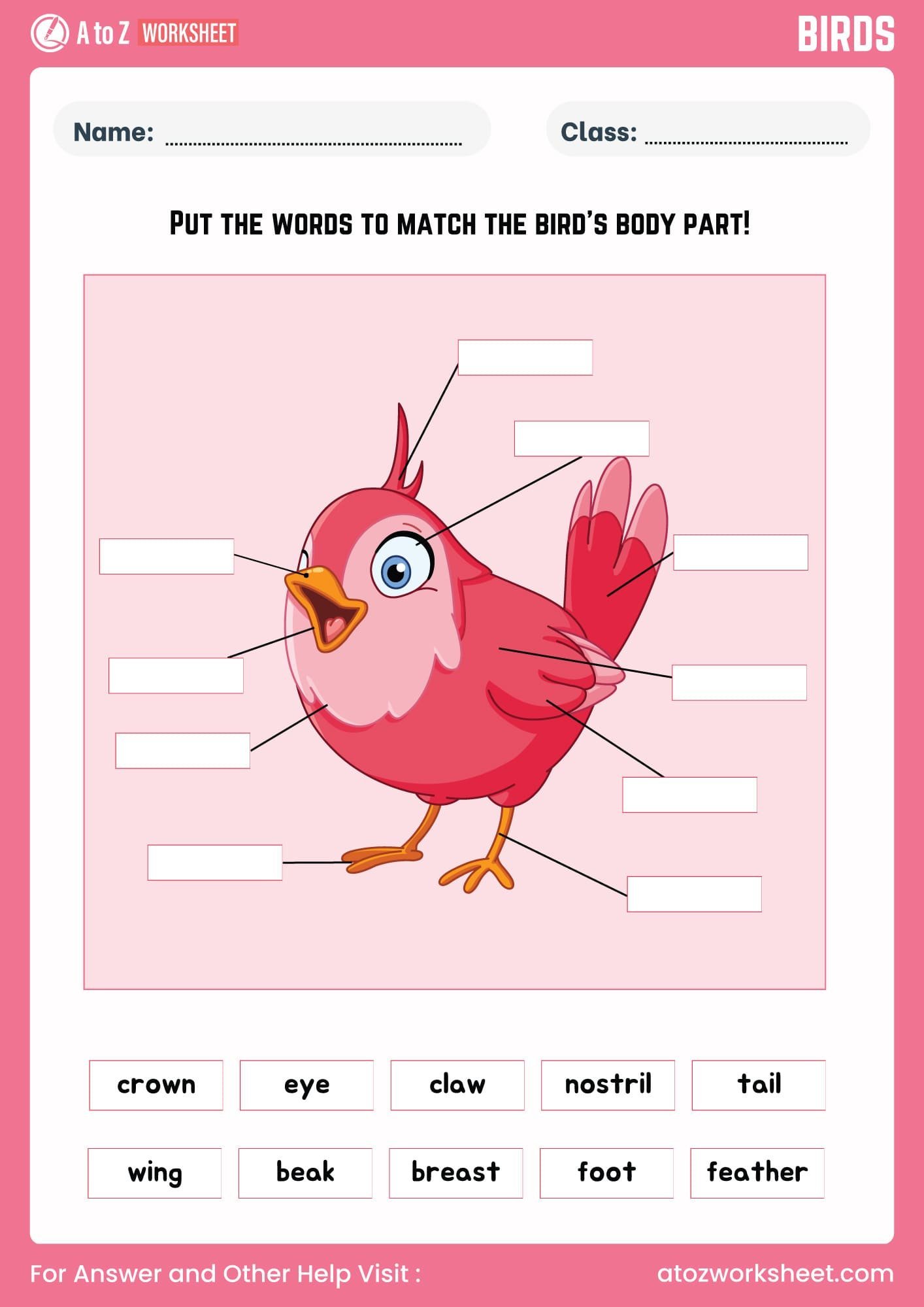 Birds Worksheet For Kindergarten A To Z Worksheet Birds Worksheet For Kindergarten A To Z Worksheet